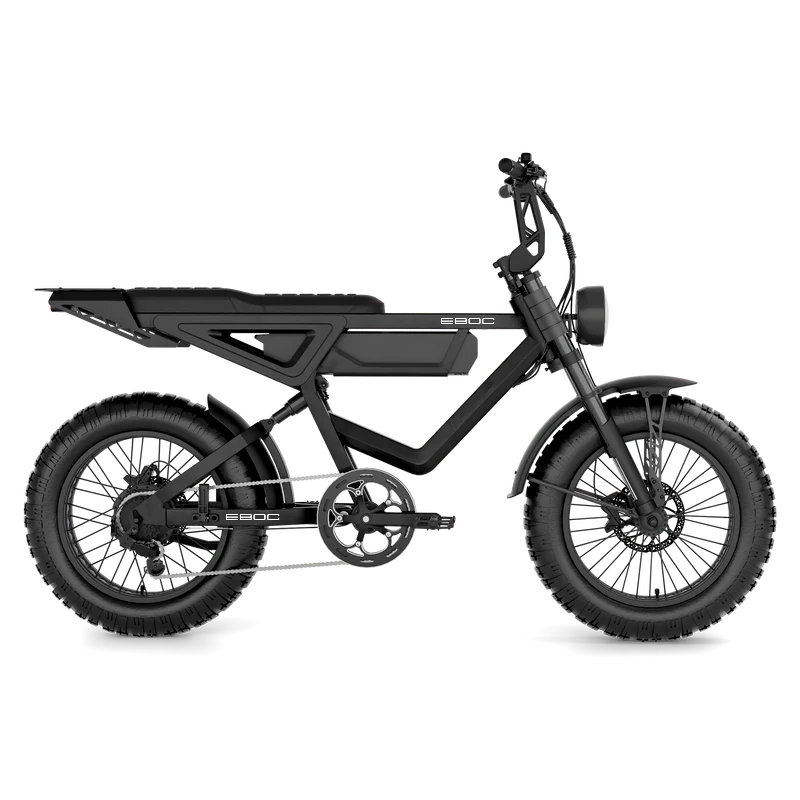 Raider – Electric Bikes of Chicago