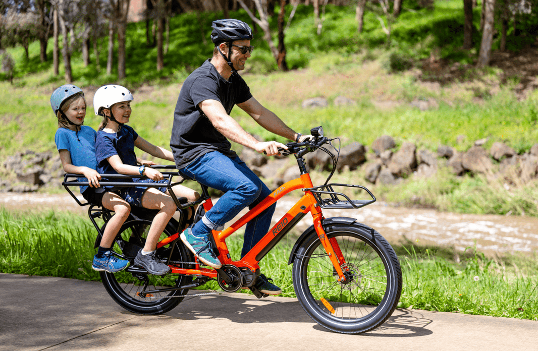REID – Electric Bikes of Chicago